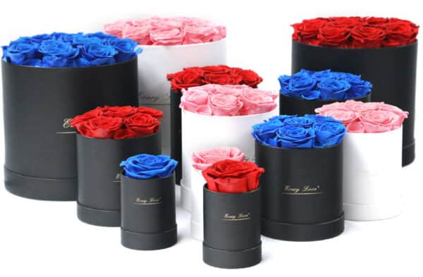 Preserved Roses: How to Wholesale Them and Where to Wholesale Them ...