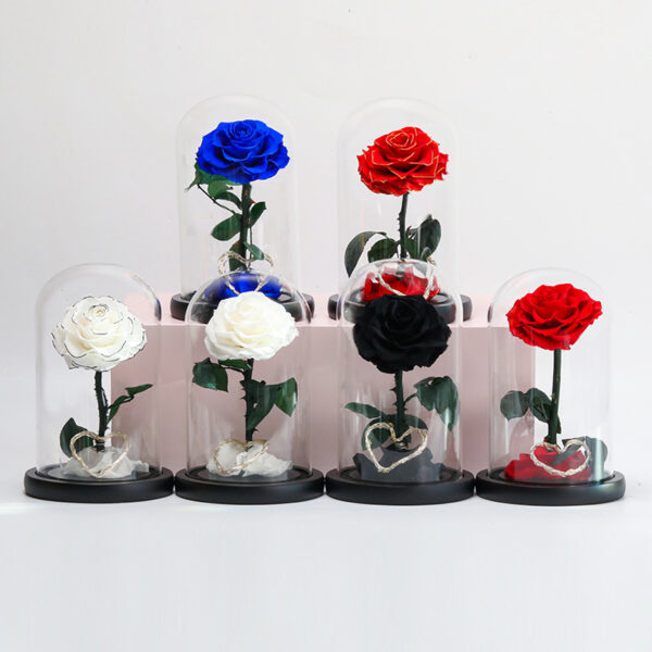 Most Popular Preserved Rose Glass Gifts For Valentine's Day