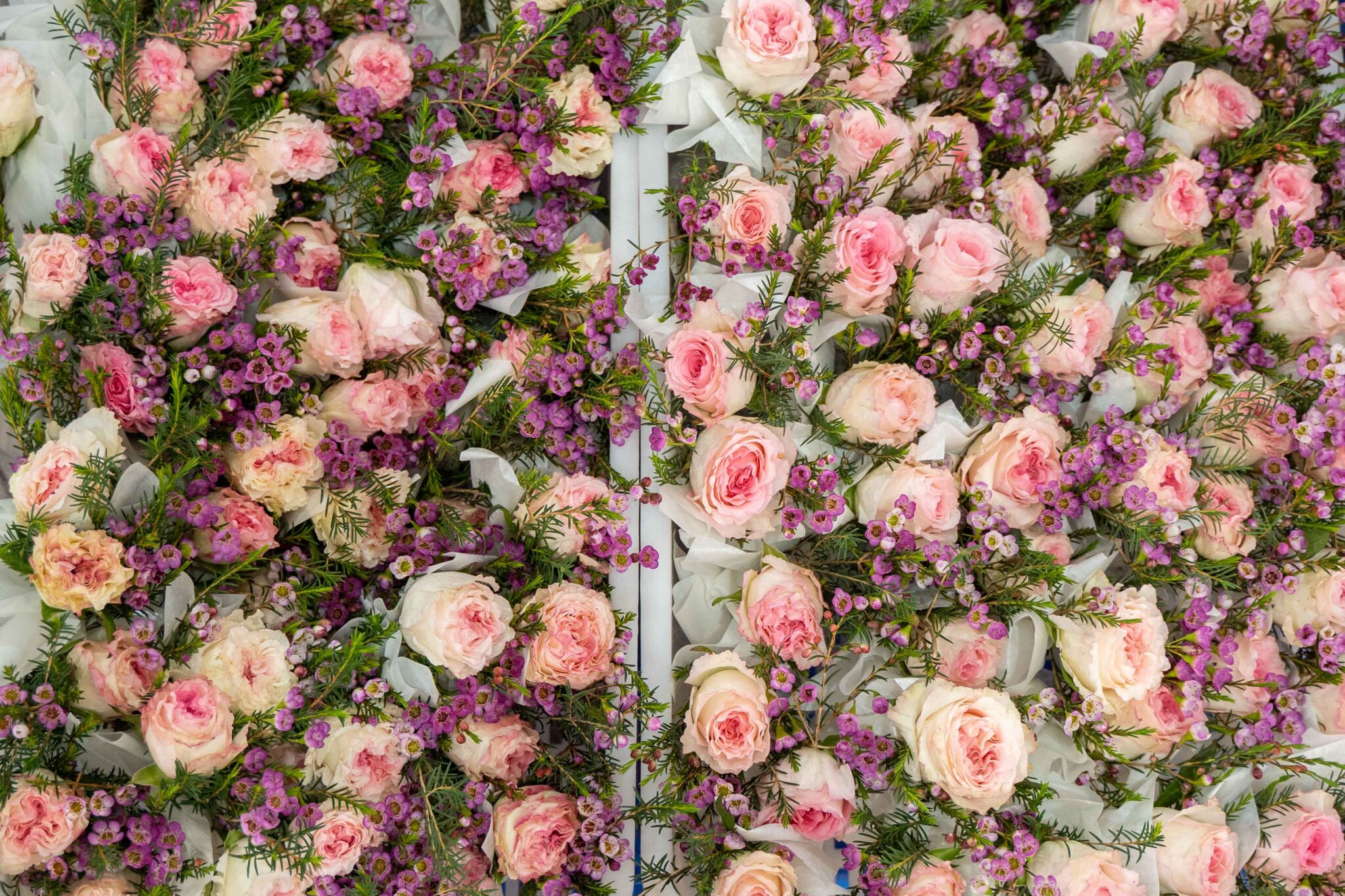 How Are Flowers Preserved? The Process, Innovations, and Future Trends ...